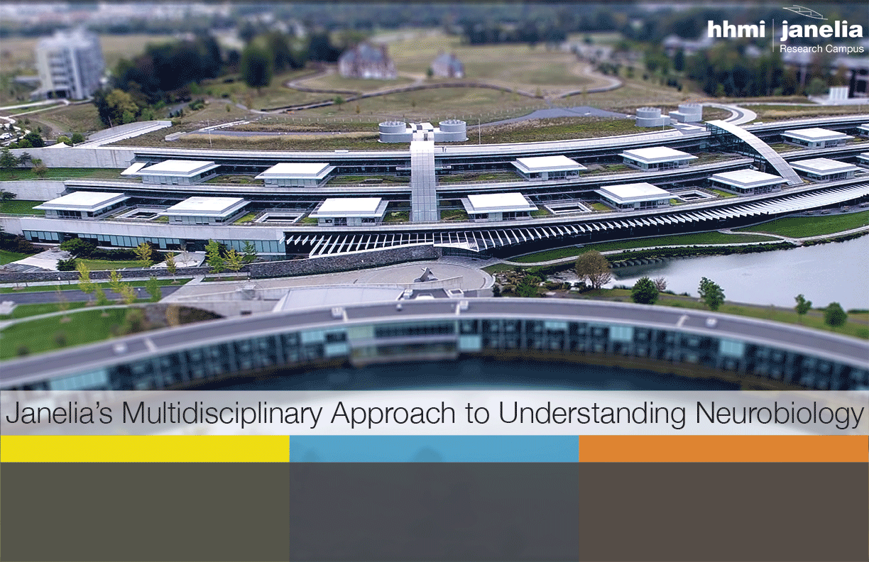 The Multidisciplinary Approach to Understanding Neurobiology at Janelia ...