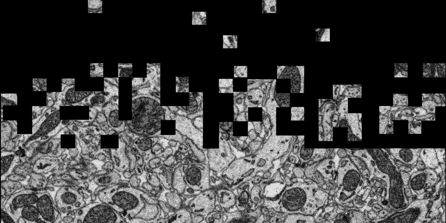 Serial Section Alignment | Janelia Research Campus