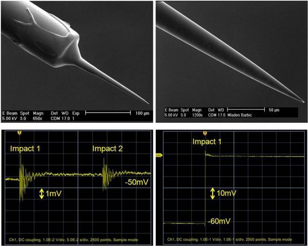 Enhanched Patch Electrodes | Janelia Research Campus