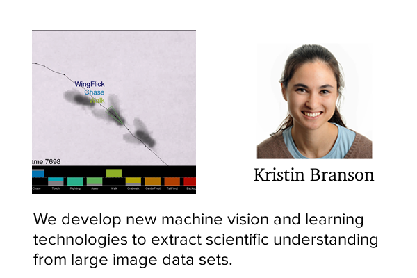 Janelia Group Leaders Sample - Final in Progress | Janelia Research Campus