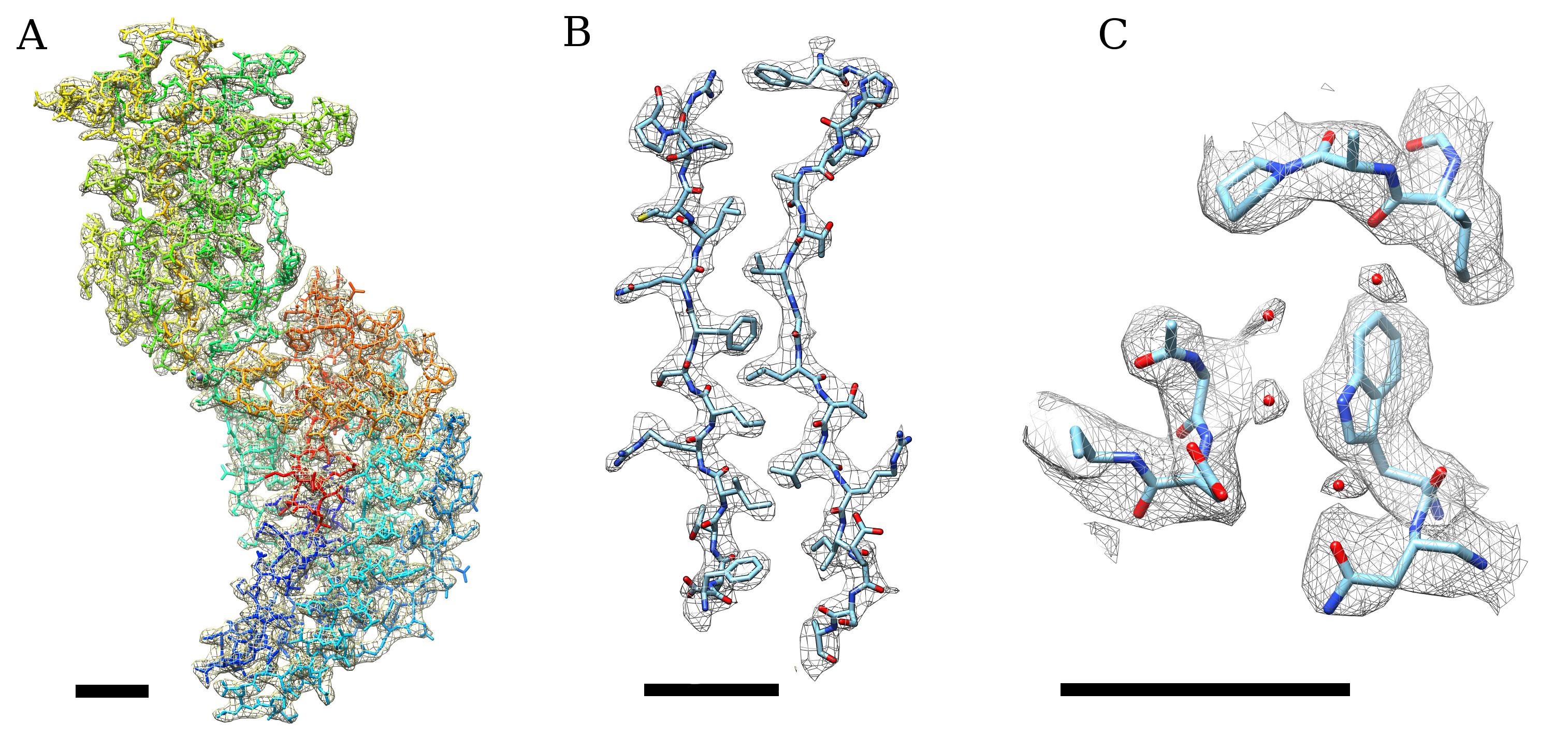A single particle analysis example from Janelia Krios2 | Janelia ...