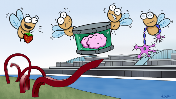 Hess Lab | Janelia Research Campus