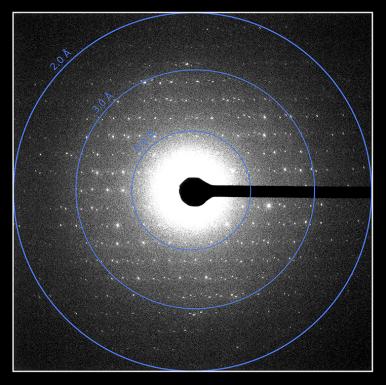 Micro-Electron Diffraction (MicroED) | Janelia Research Campus